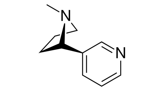 Nicotine Salts vs Freebase Nicotine - VapePassion.com